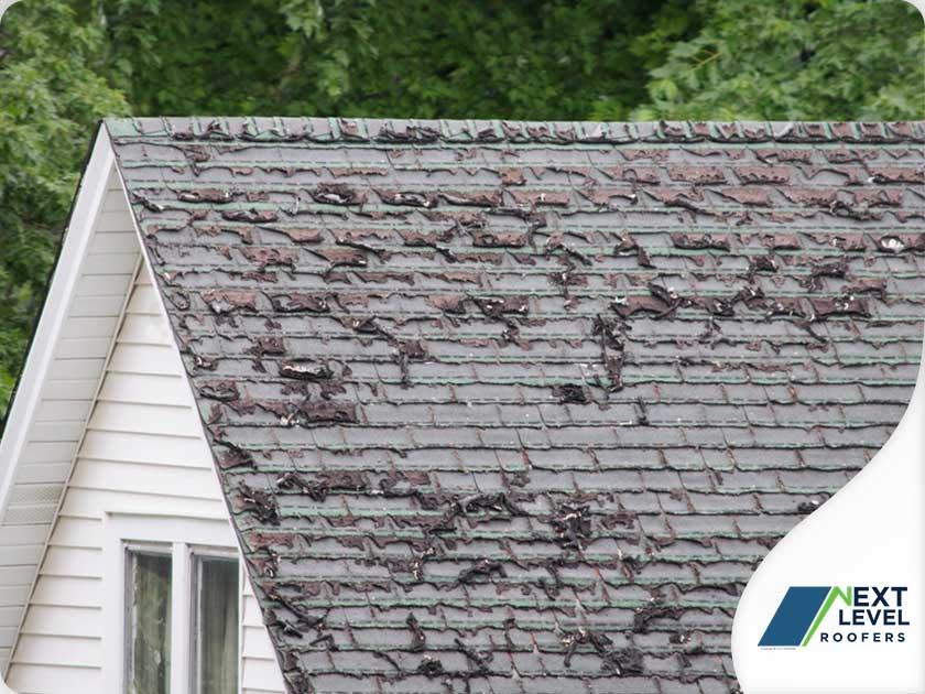 Getting to Know Split and Cracked Shingles