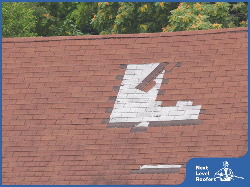 Warning Signs That It's Time to Replace Your Roof